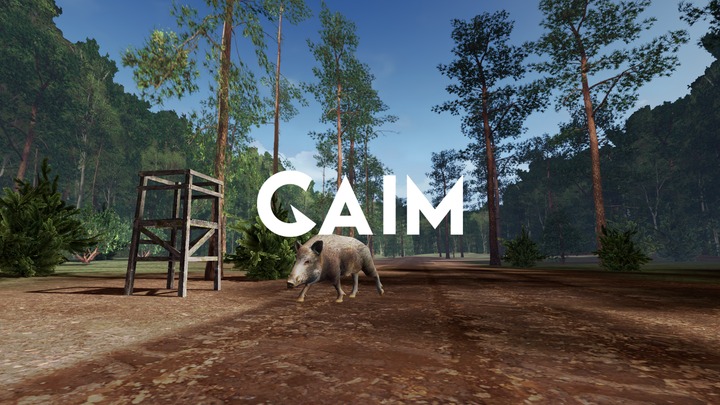 GAIM on SideQuest - Oculus Quest Games & Apps including AppLab Games ...