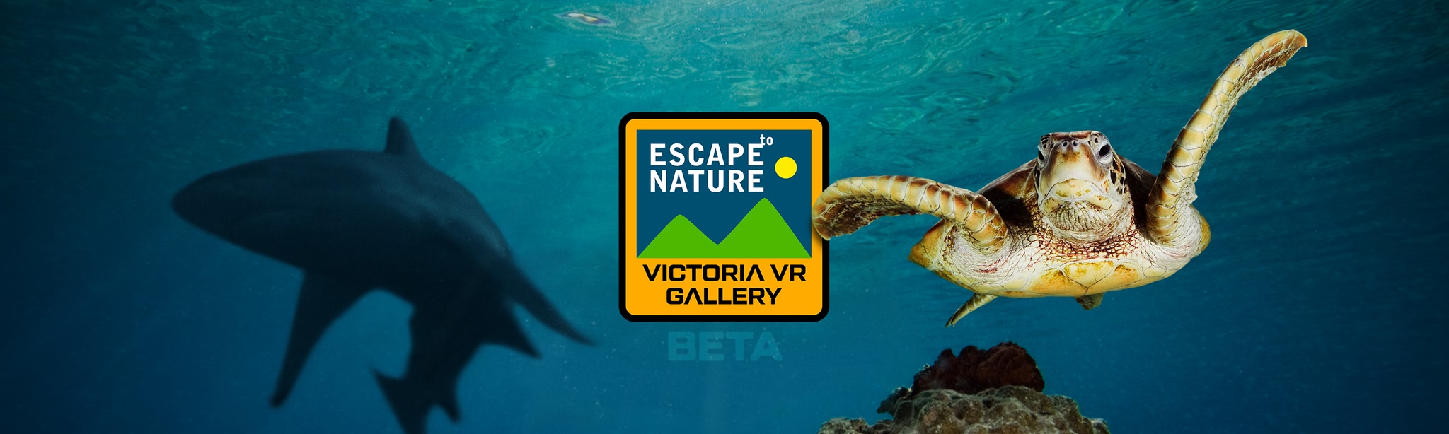 Victoria VR ESCAPE to Nature GALLERY on SideQuest Oculus Quest Games ...