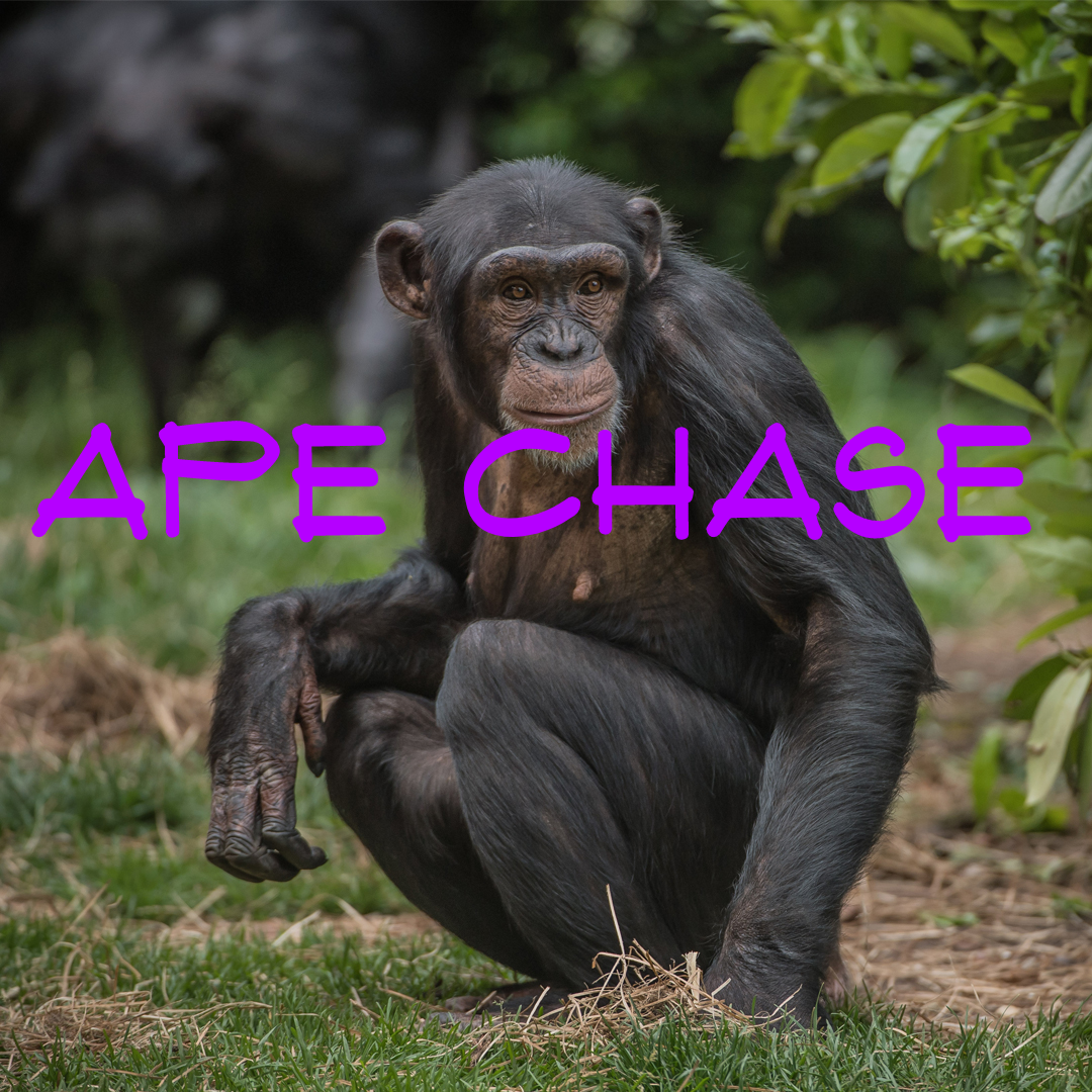 Ape Chase On Sidequest Oculus Quest Games And Apps Including Applab Games Oculus App Lab 2309