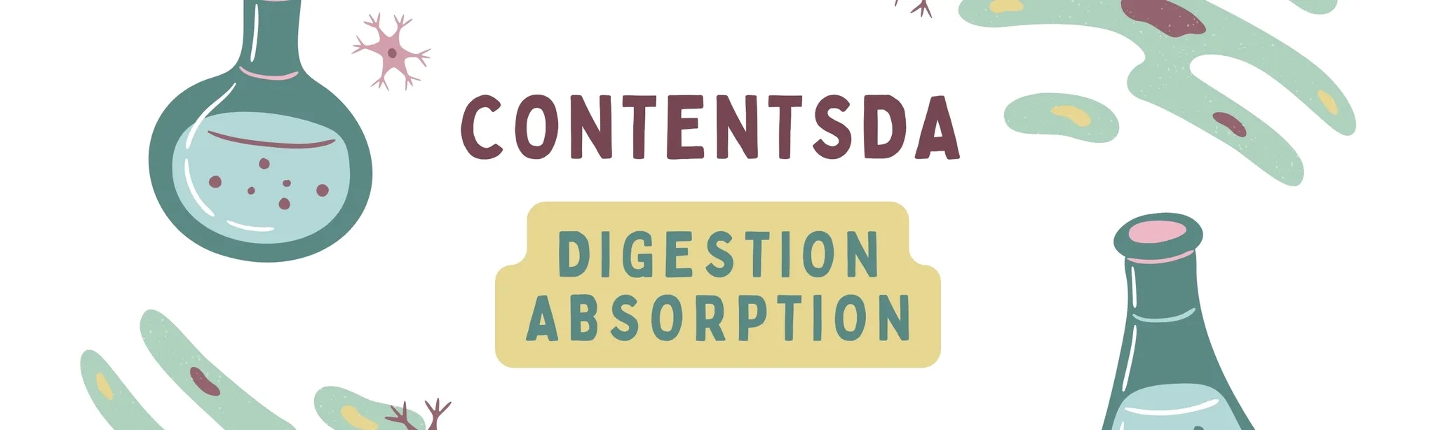 Digestion Absorption Experiment ContentsDa Science Experiment on ...