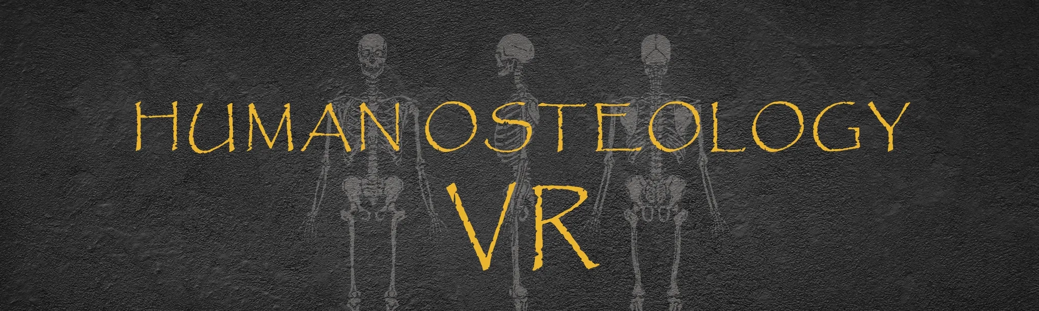 Human Osteology VR on SideQuest Oculus Quest Games & Apps including ...