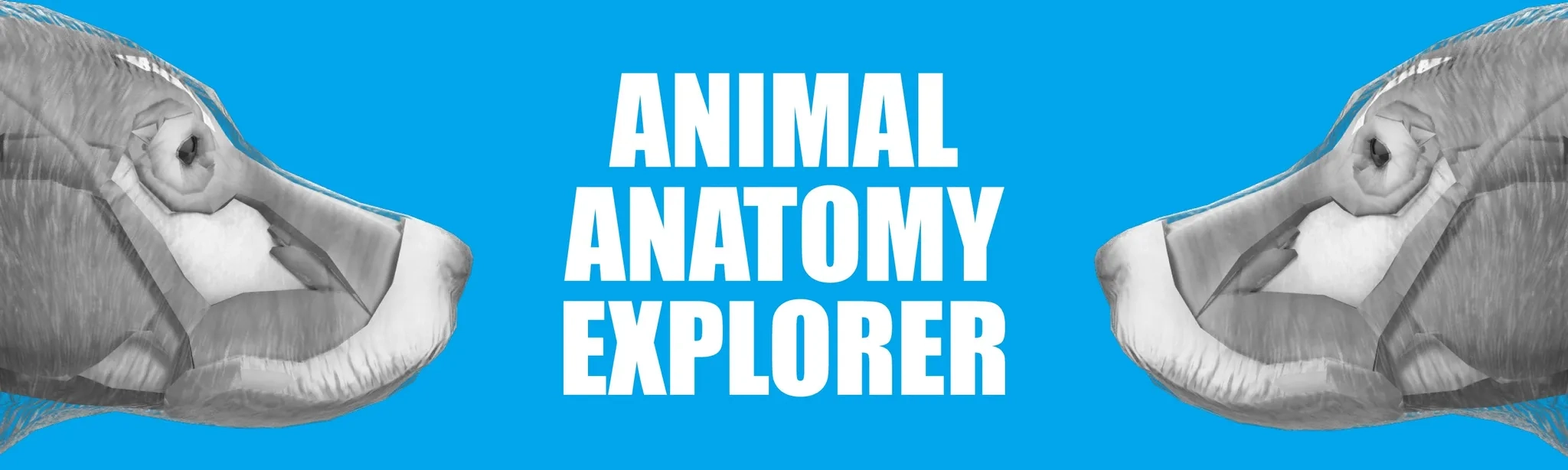 Animal Anatomy Explorer on SideQuest Oculus Quest Games & Apps ...