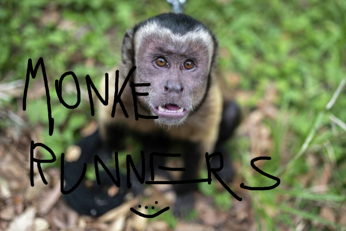 monke runners on SideQuest - Oculus Quest Games & Apps including AppLab ...