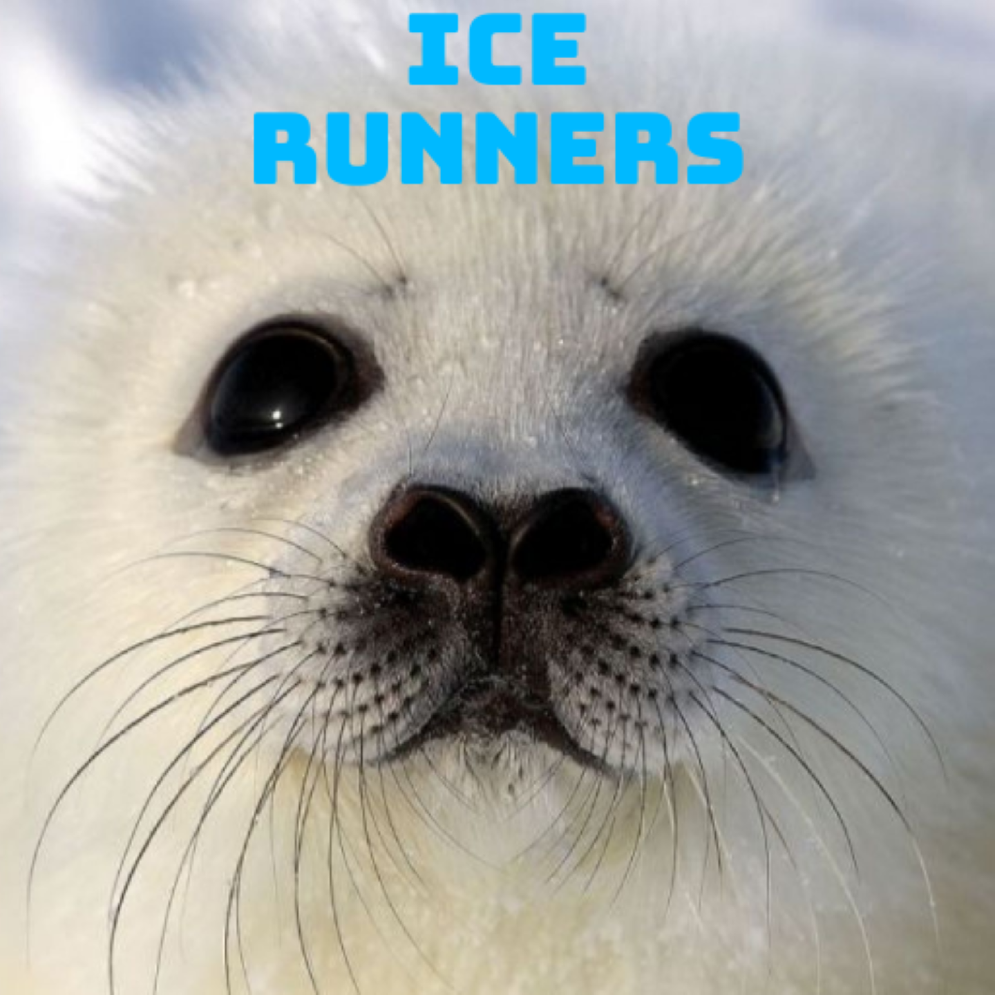 Ice Runners on SideQuest - Oculus Quest Games & Apps including AppLab Games ( Oculus App Lab )