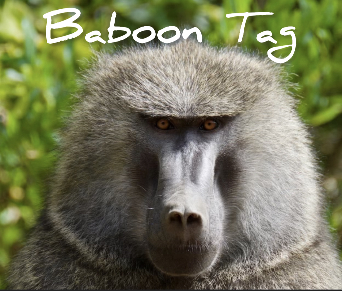 baboon tag on SideQuest - Oculus Quest Games & Apps including AppLab ...