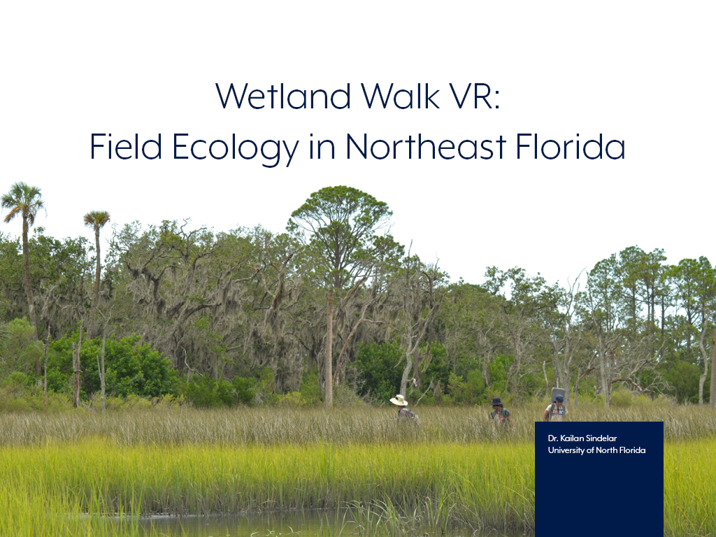 Wetland Walk VR: Field Ecology in Northeast Florida on SideQuest Oculus ...
