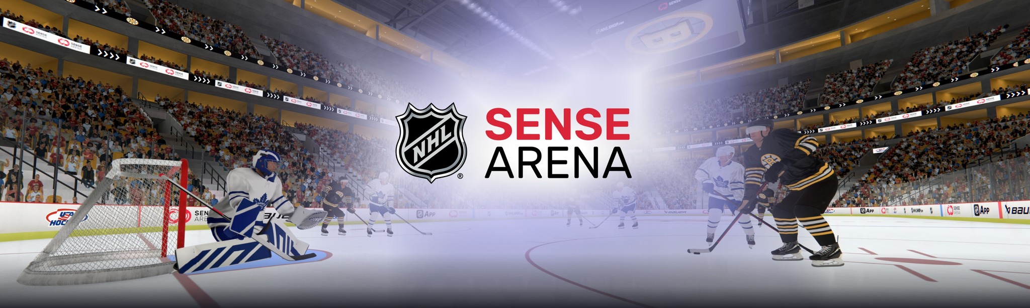 NHL SENSE ARENA on SideQuest - Oculus Quest Games & Apps including ...
