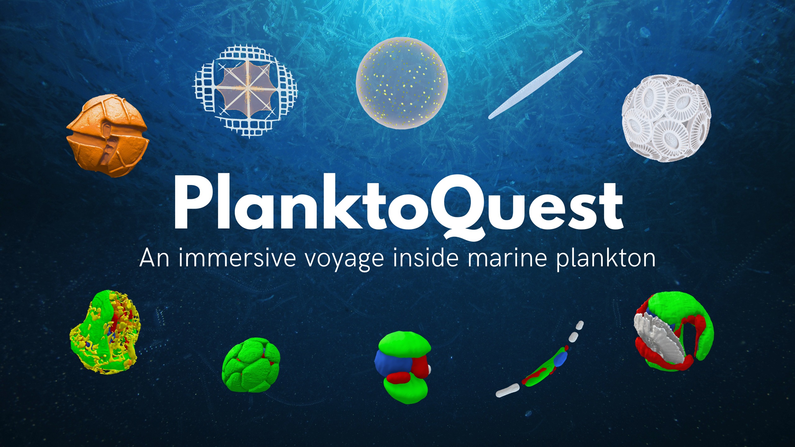 PlanktoQuest on SideQuest Oculus Quest Games & Apps including AppLab Games ( Oculus App Lab )
